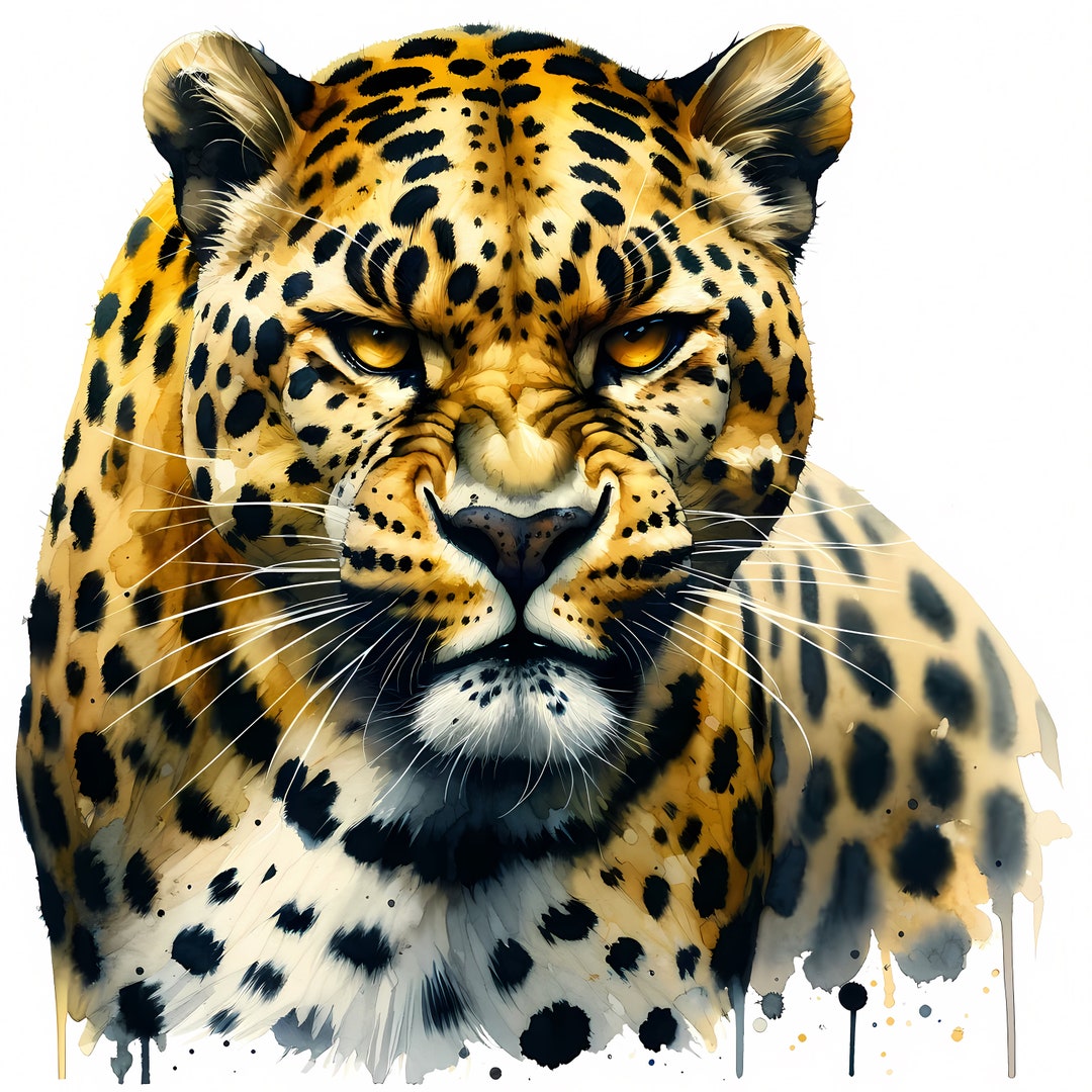 Fierce Leopard Clipart: Wildcat Graphic Bundle (digital Download ...