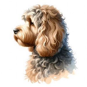 Cockapoo Dog Clipart - 12 High-quality Jpgs - Digital Download - Card ...