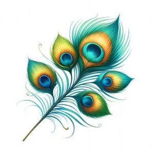 Peacock Feather Clipart | 10 High-quality Jpgs | Vibrant Peacock ...