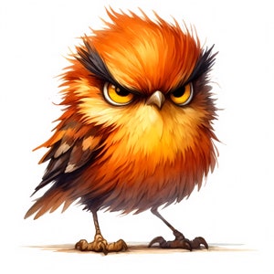 Grumpy Birds Clipart | 12 High-quality Jpgs | Fun Grumpy Bird Clipart ...