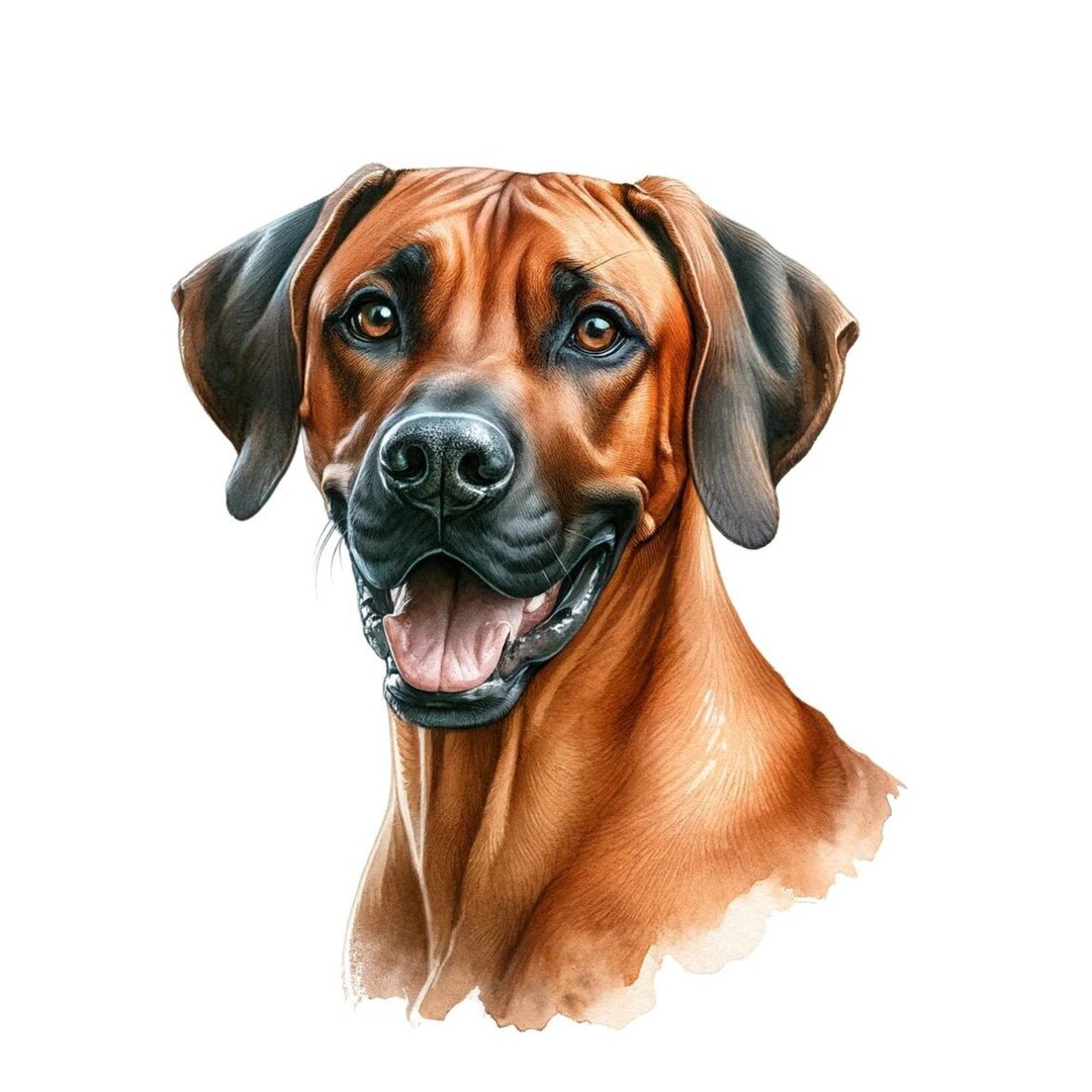 Rhodesian Ridgeback Dog Clipart 10 High-quality Jpgs Digital Download ...
