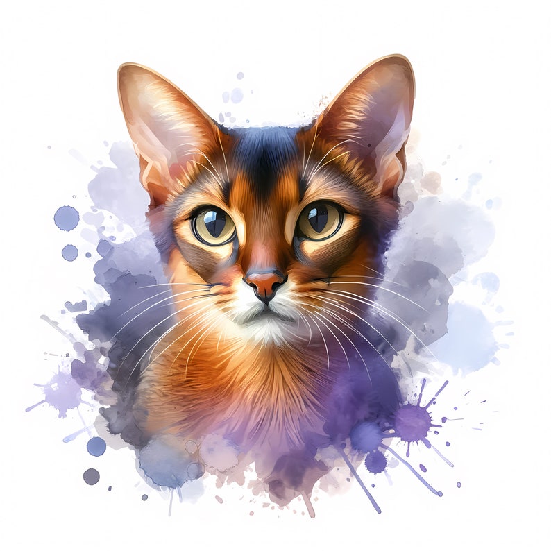 Abyssinian Cat Clipart 12 High Quality Jpgs Digital Download Card ...