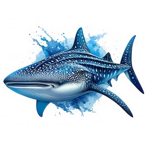 Whale Shark Clipart | Marine Nautical Art Prints (digital Download) 12 ...