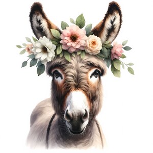 Cute Donkey and Flowers Clipart - 13 High-quality Jpgs - Donkey Flower ...