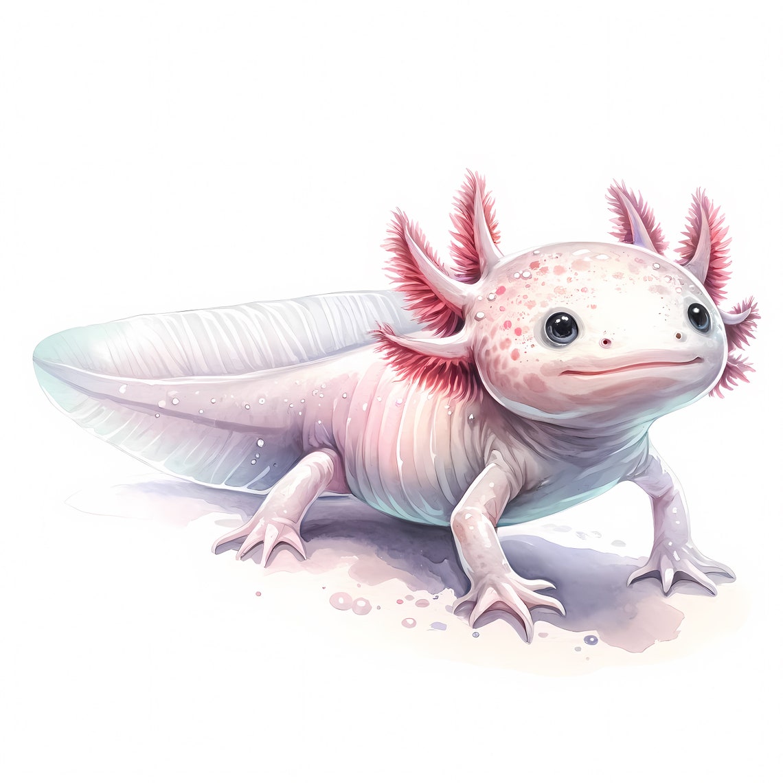 Axolotl Clipart | 12 High-quality Jpgs | Cute Axolotl Clipart Bundle ...