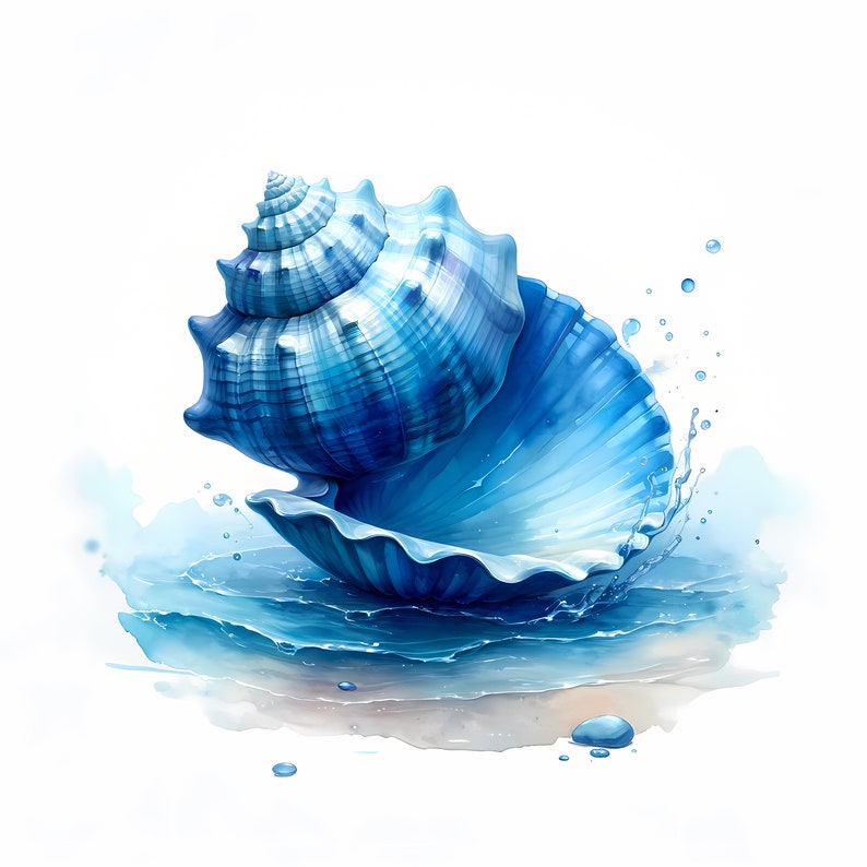 Blue Seashell Clipart: Ocean Theme Digital Art (commercial Use ...