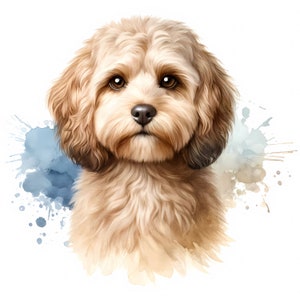 Cavapoo Clipart | 12 High-quality Jpgs | Cute Cavapoo Clipart Bundle ...