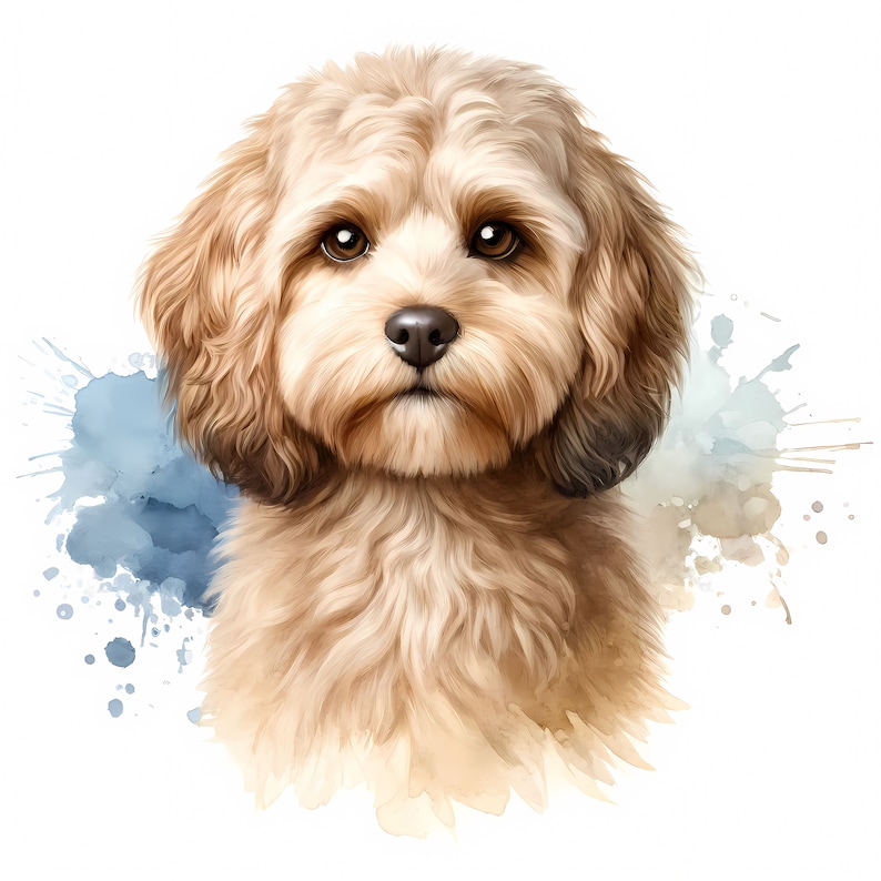 Cute Cavapoo Dog Clipart Bundle | High-quality Jpgs (digital Download ...