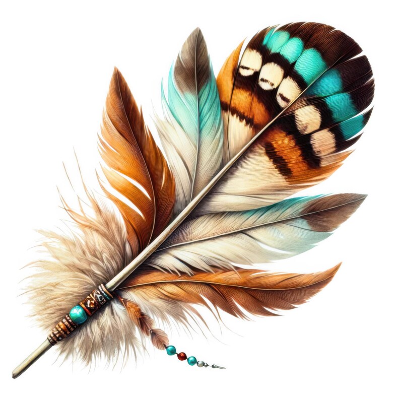 Native Feather Clipart Bundle: Tribal Feather Art (11 PNG/JPG Digital ...