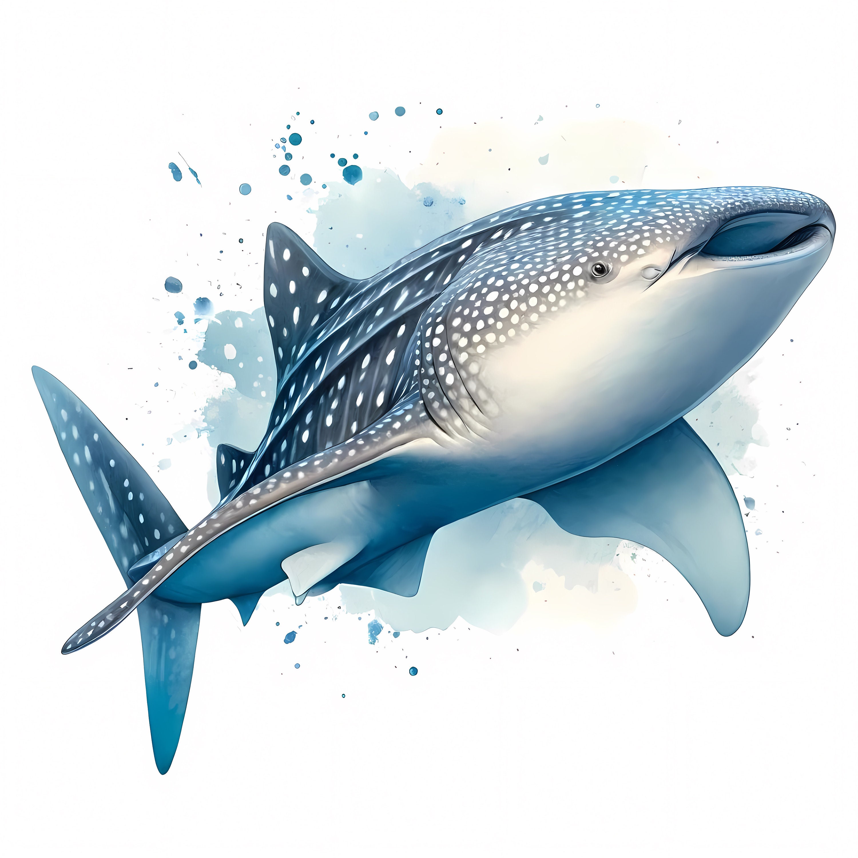 Whale Shark Clipart | Marine Nautical Art Prints (digital Download) 12 ...