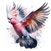 Galah Cockatoo Clipart 12 High-quality Jpgs Majestic Galah Cockatoo ...