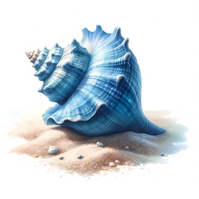 Blue Seashell Clipart: Ocean Theme Digital Art (commercial Use ...
