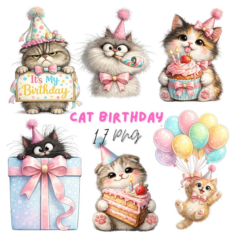 17 Birthday Cat - Etsy