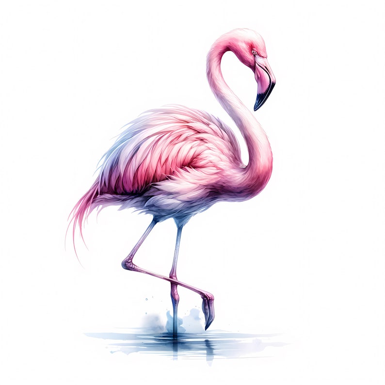 Pink Flamingo Watercolor Clipart | Tropical Bird Art (digital Download ...