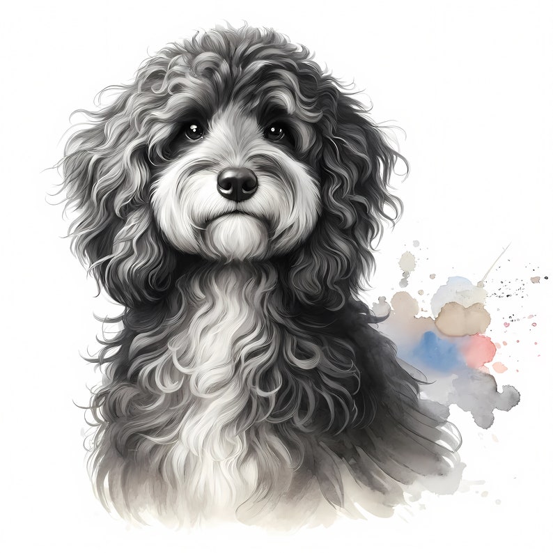 Black and Grey Cockapoo Clipart 11 High-quality Jpgs Digital Download ...
