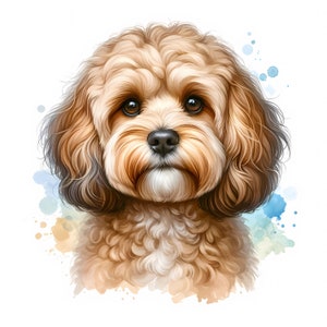 Cavapoo Clipart | 12 High-quality Jpgs | Cute Cavapoo Clipart Bundle ...