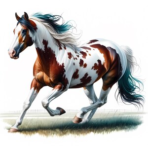 Paint Horse Clipart Bundle: Equine Art, Paper Craft (digital Download ...