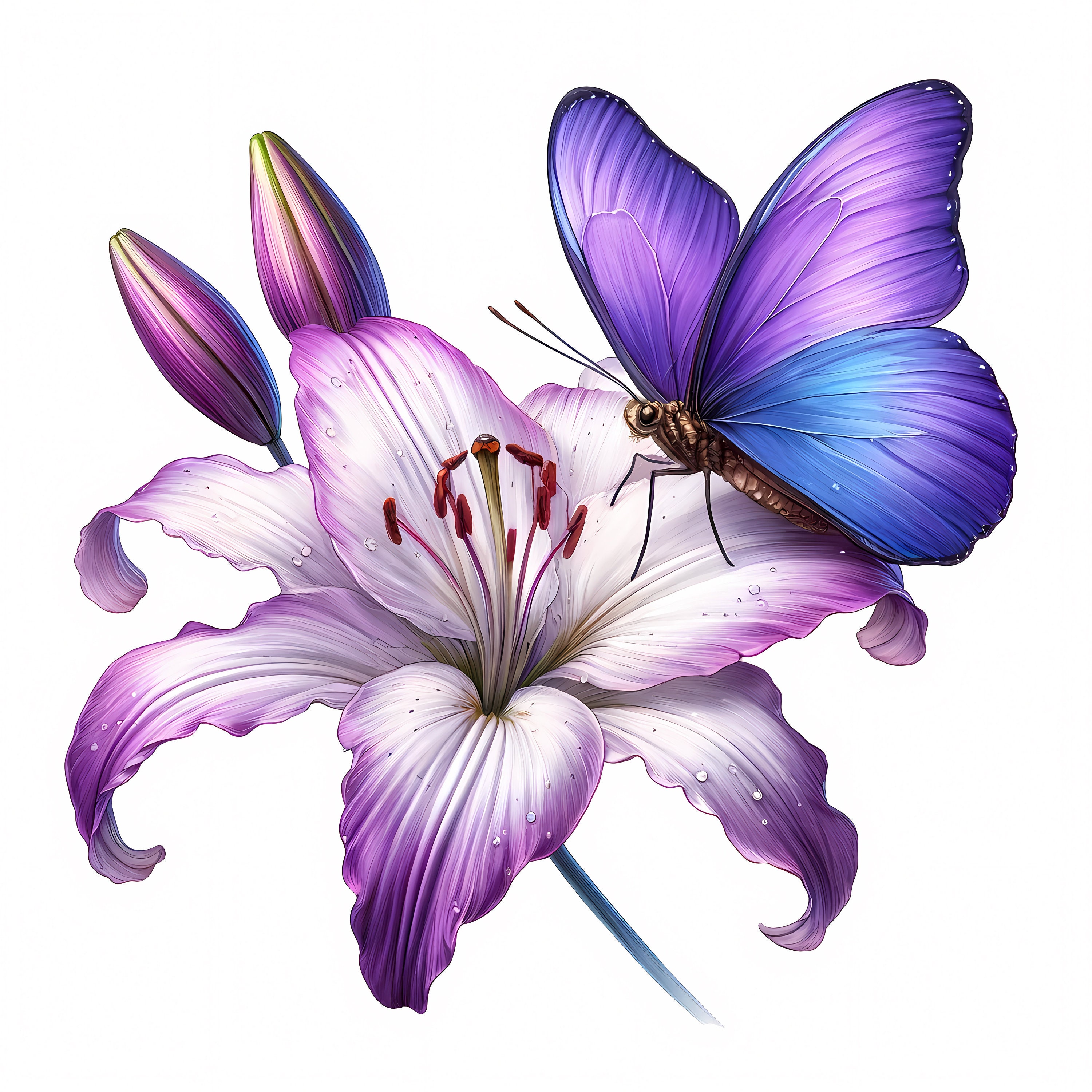Butterfly on Tulip Flower Clipart | JPG (digital Download - Etsy