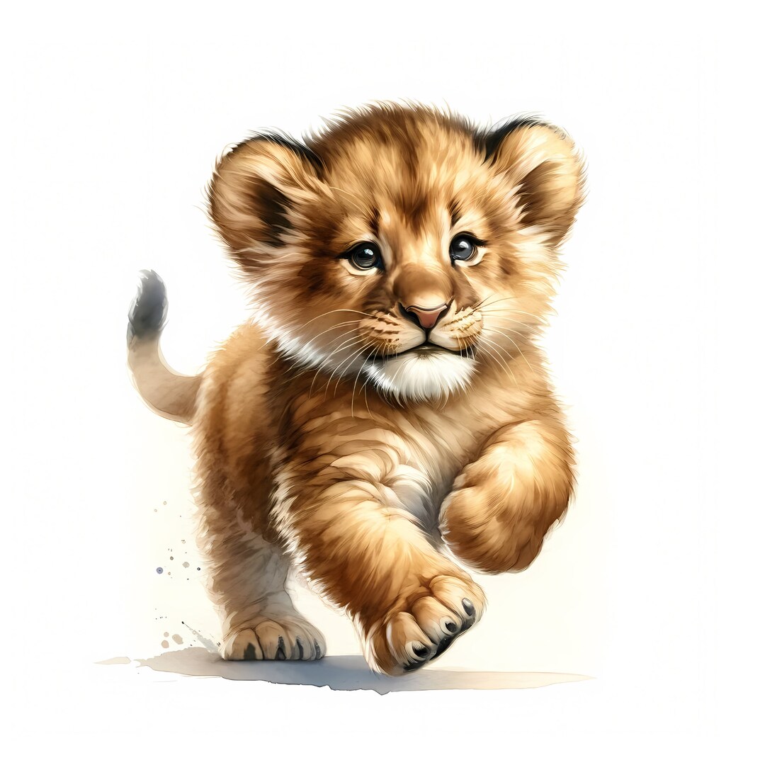 Lion Cub Clipart | 10 High-quality Jpgs | Cute Lion Cub Clipart Bundle ...
