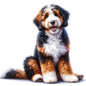 Bernedoodle Clipart - 11 High-quality Jpgs - Cute Bernedoodle Clipart ...
