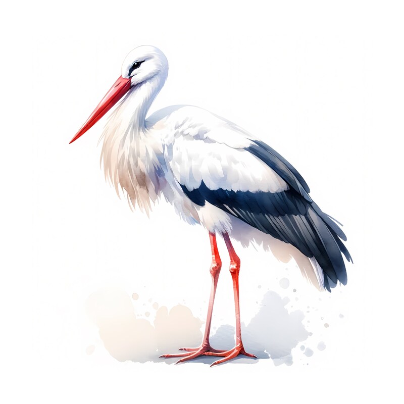 Stork Clipart - Etsy