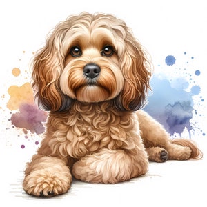 Cavapoo Clipart | 12 High-quality Jpgs | Cute Cavapoo Clipart Bundle ...