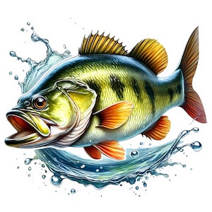 Smallmouth Bass Clipart | 10 High-quality Jpgs | Jumping Smallmouth ...
