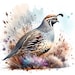 Quail Bird Clipart - 10 High-quality Jpgs - Elegant Quail Bird Clipart ...