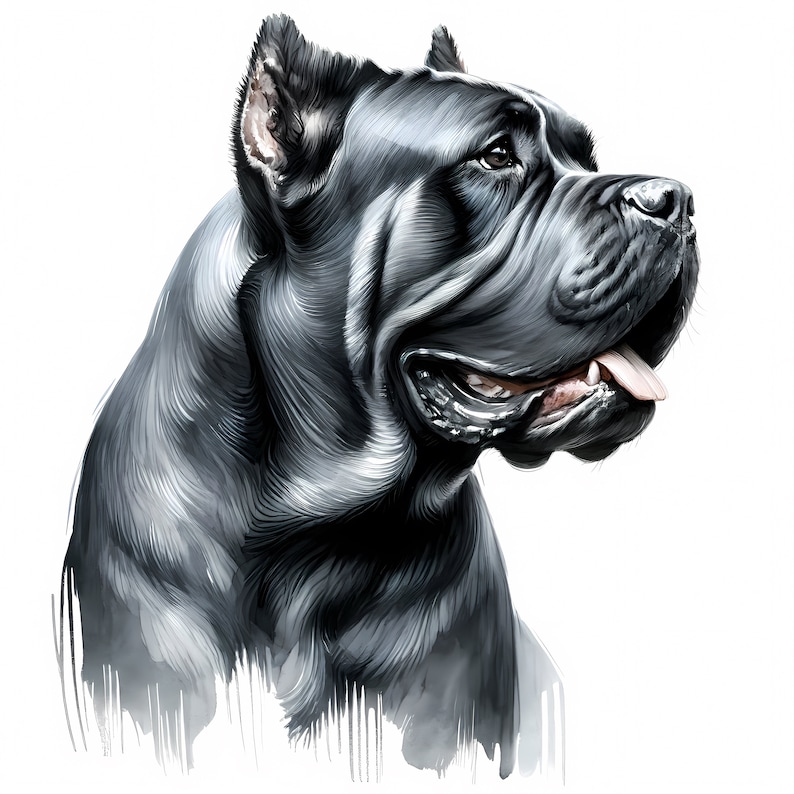 Cane Corso Dog Clipart 10 High Quality Jpgs Digital Download Card ...