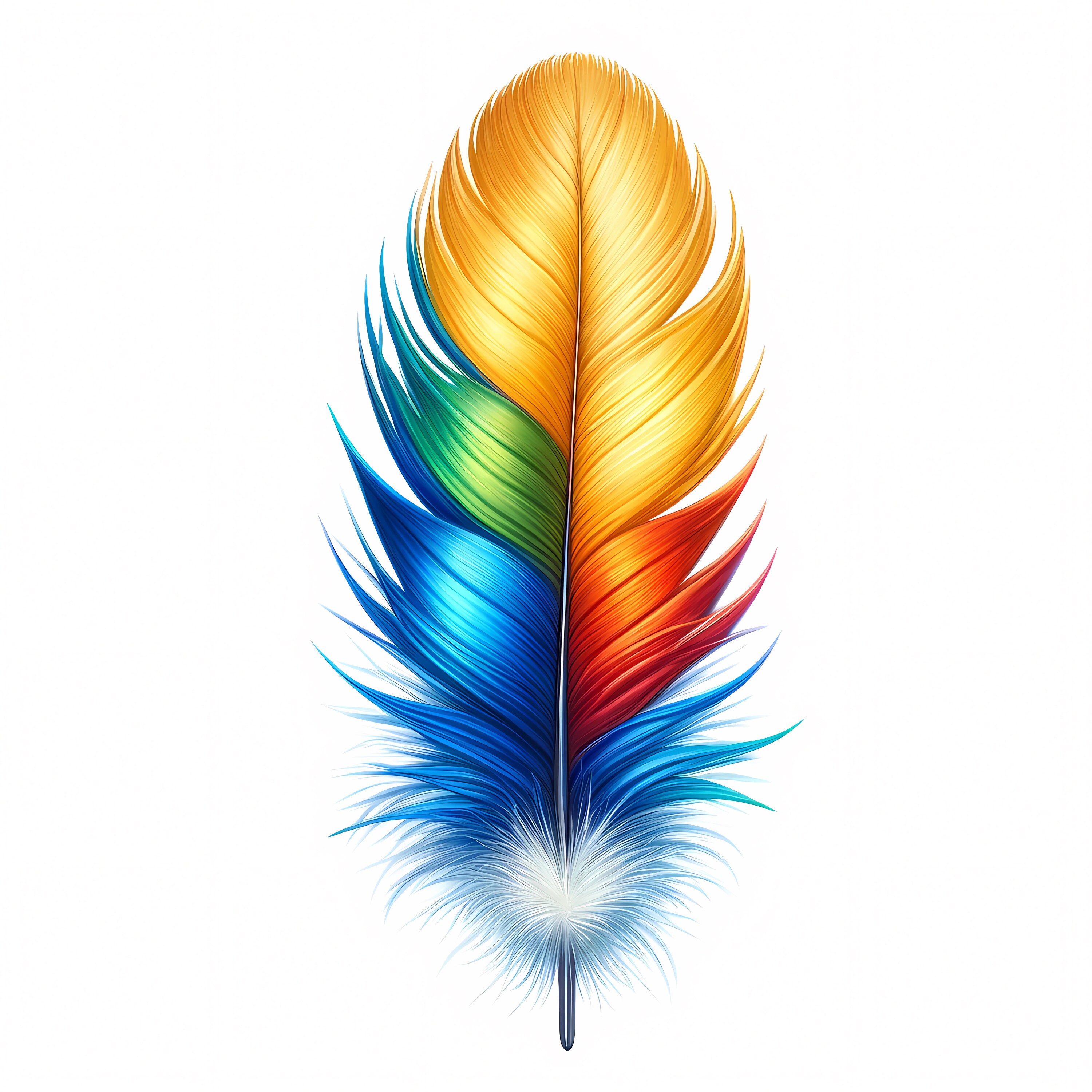 Colorful Feather Clipart | Boho Feather Art, Commercial Use (digital ...