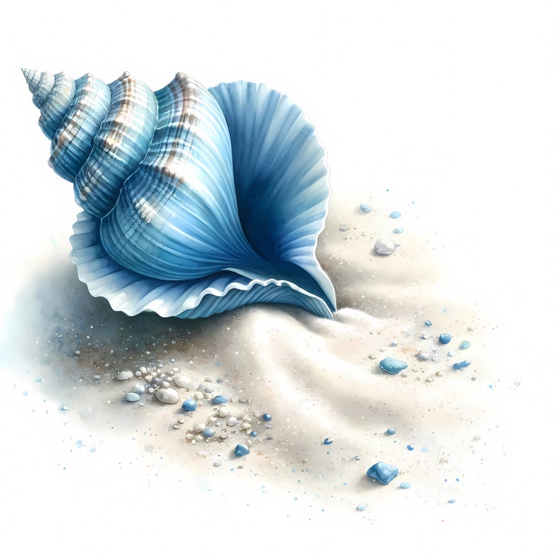 Blue Seashell Clipart: Ocean Theme Digital Art (commercial Use ...