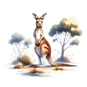 Kangaroo Clipart - 12 High-quality Jpgs - Clipart Bundle - Wall Art ...