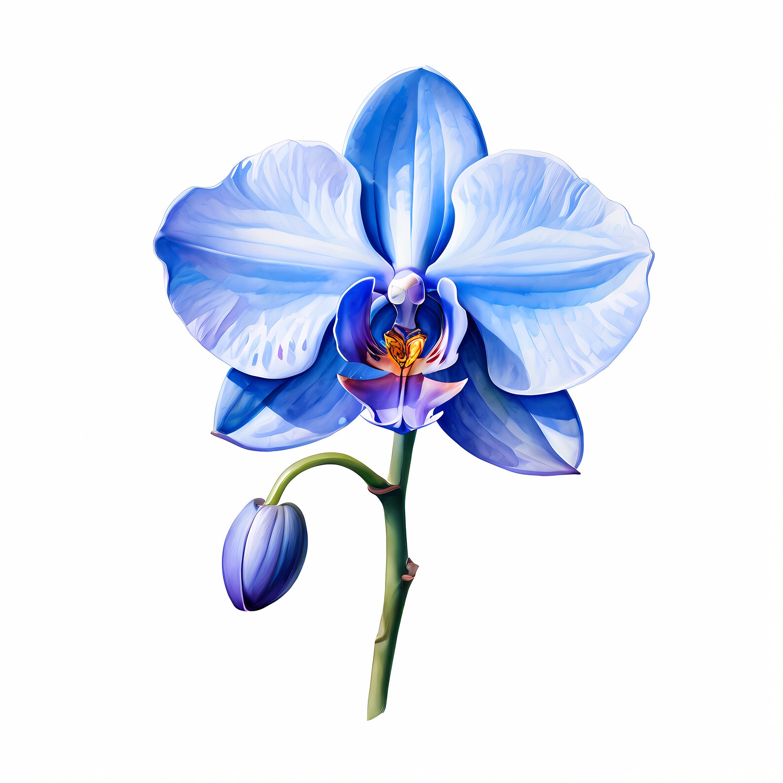 Blue Orchid Clipart 10 High-quality Jpgs Stunning Blue Orchid Clipart ...