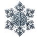 Snowflake Clipart | Winter Holiday 10 JPG Bundle (digital Download) - Etsy