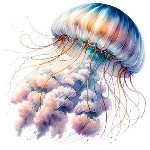 Jellyfish Clipart - 11 High-quality Jpgs - Colorful Jellyfish Clipart ...
