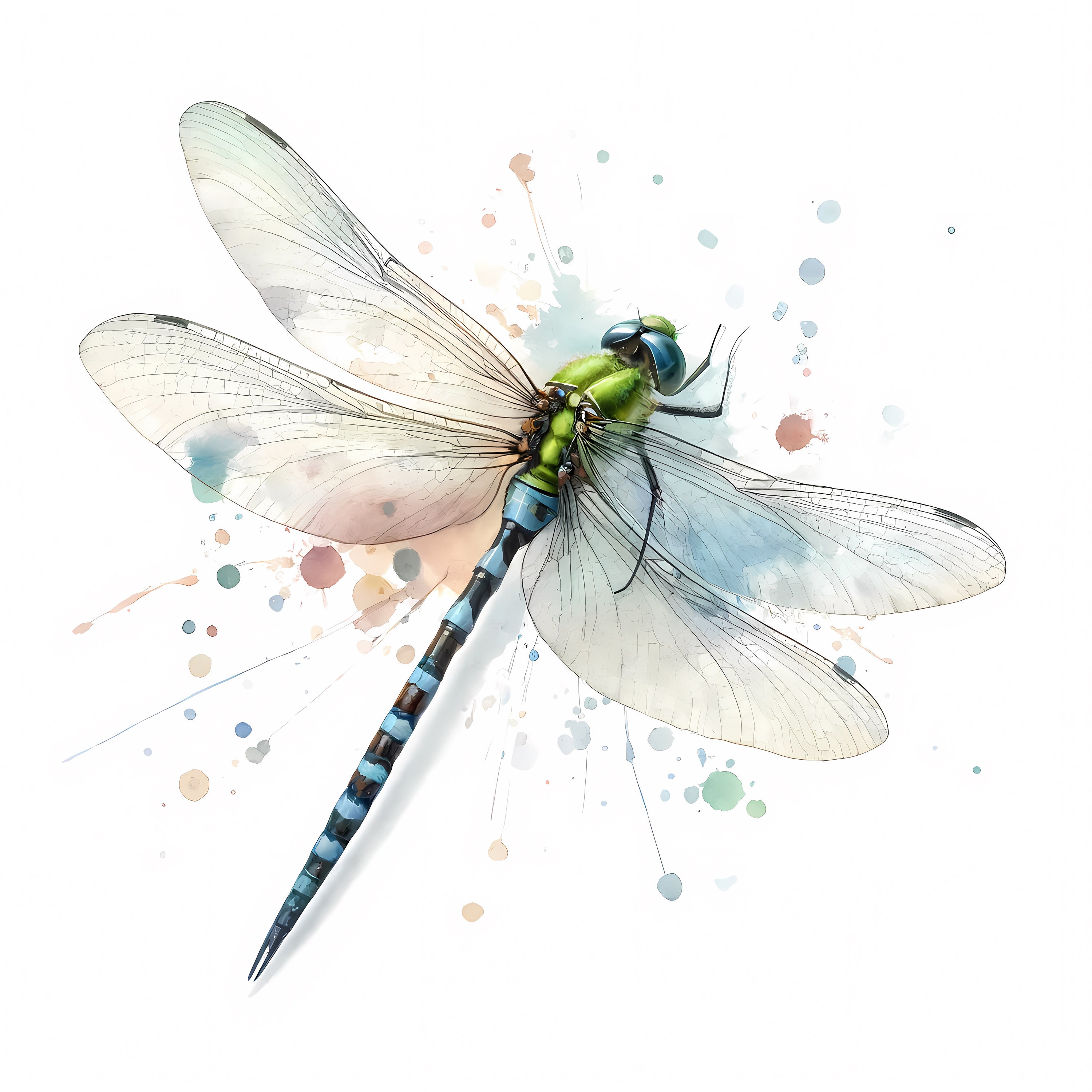 Dragonfly Clipart 12 High-quality Jpgs Colorful Dragonflies Clipart ...