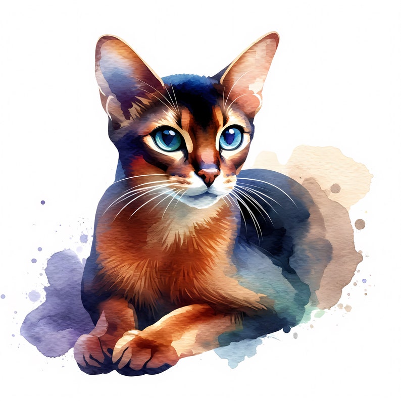 Abyssinian Cat Clipart 12 High Quality Jpgs Digital Download Card ...
