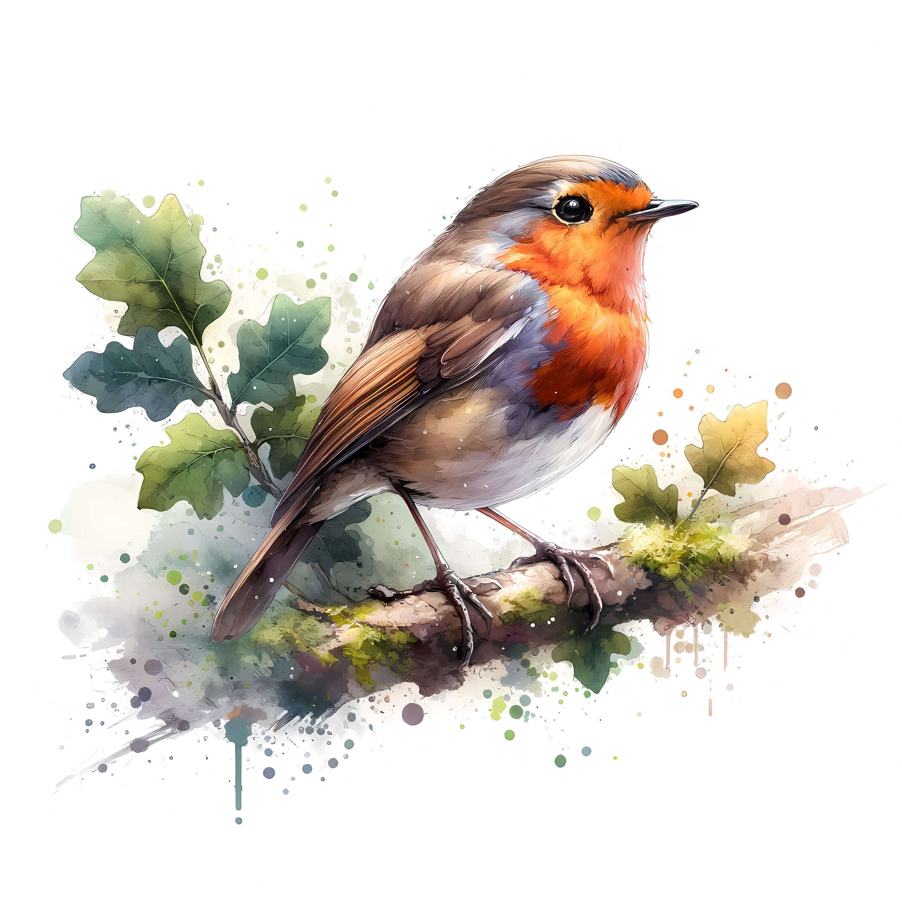 Robin Clipart |10 High Quality Jpgs | Cute Robin Clipart Bundle | Bird ...