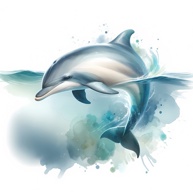 Dolphin Clipart 10 High-quality Jpgs Playful Dolphin Bundle Digital ...