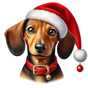 Christmas Dachshund Clipart: Festive Dog Art (12 JPG Digital Download ...