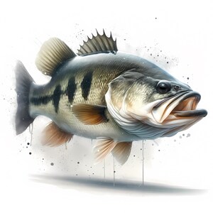 Bass Clipart | 11 High-quality Jpgs | Clipart Bundle | Fish Wall Art ...