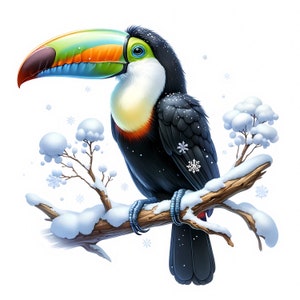 Toucan Clipart Bundle: Tropical Bird Art, Commercial Use (digital ...