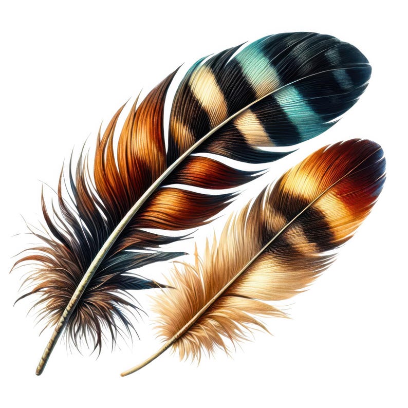 Native Feather Clipart Bundle: Tribal Feather Art (11 PNG/JPG Digital ...