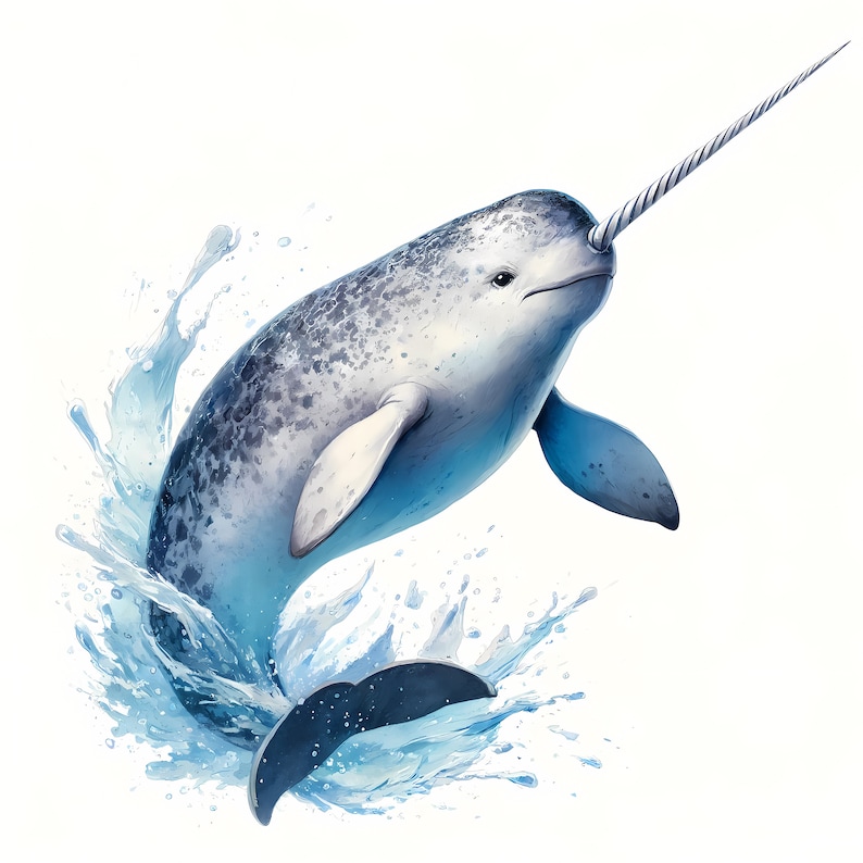Elegant Narwhal Clipart Bundle | Sea Creature Art (digital Download) 12 ...