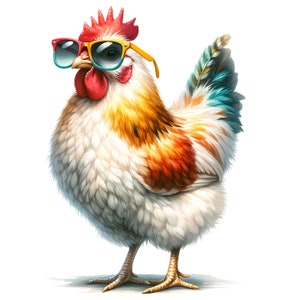 Cool Chicken Clipart Bundle | Farm Animal Art (digital Download) - Etsy