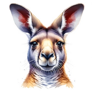 Kangaroo Clipart - 12 High-quality Jpgs - Clipart Bundle - Wall Art ...