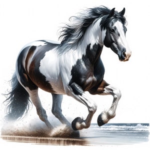 Paint Horse Clipart Bundle: Equine Art, Paper Craft (digital Download ...