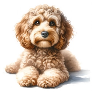 Cockapoo Dog Clipart - 12 High-quality Jpgs - Digital Download - Card ...