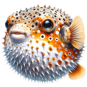 Puffer Fish Clipart | 12 High-quality Jpgs | Whimsical Pufferfish ...