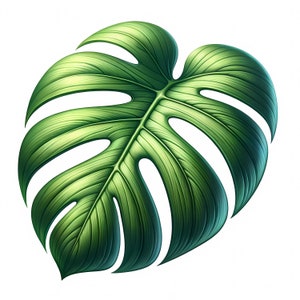 Monstera Leaf Clipart | Tropical Wall Art Bundle (digital Download) Set ...